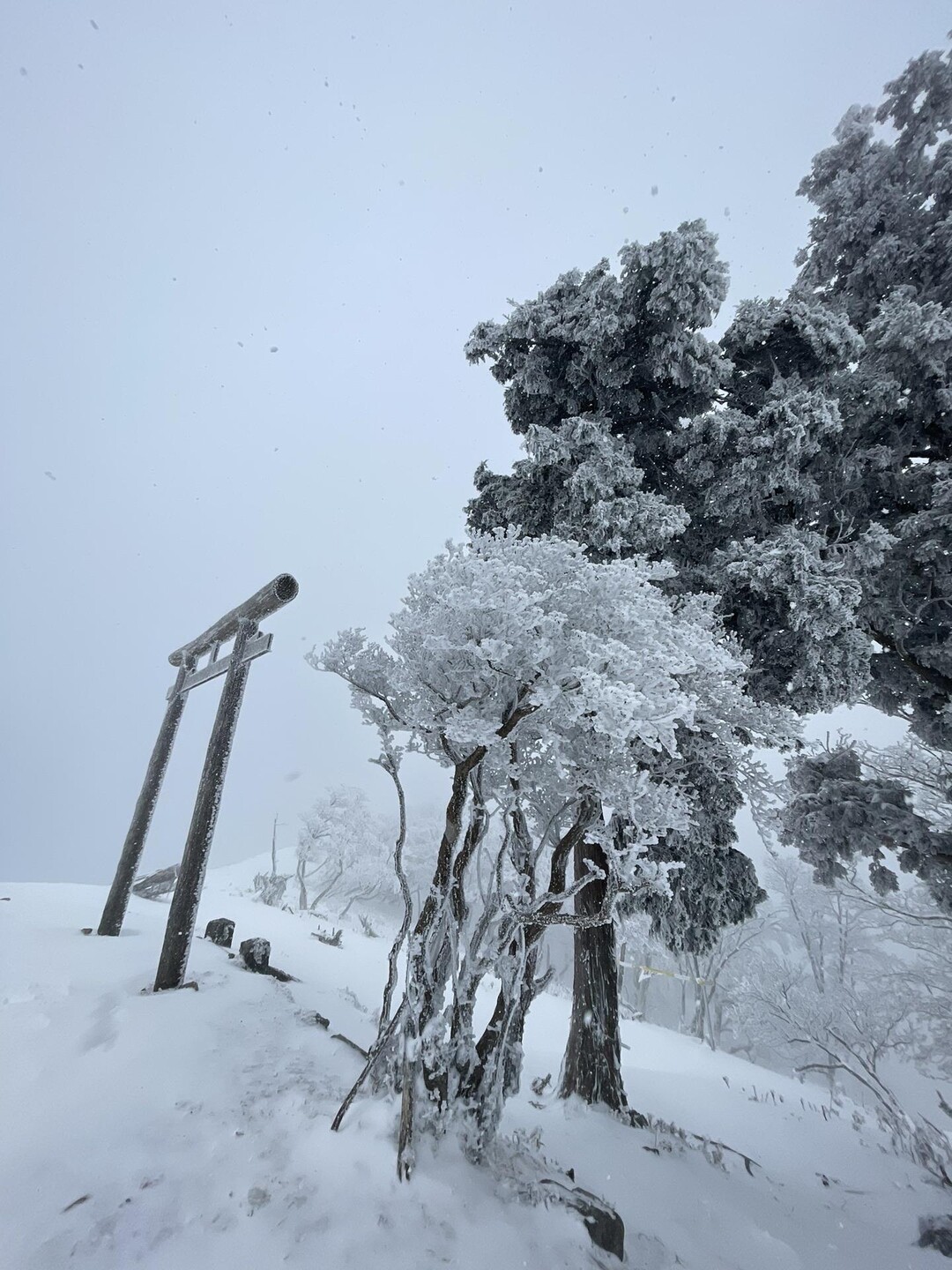 綿向山 / Bobさんの綿向山の活動データ | YAMAP / ヤマップ