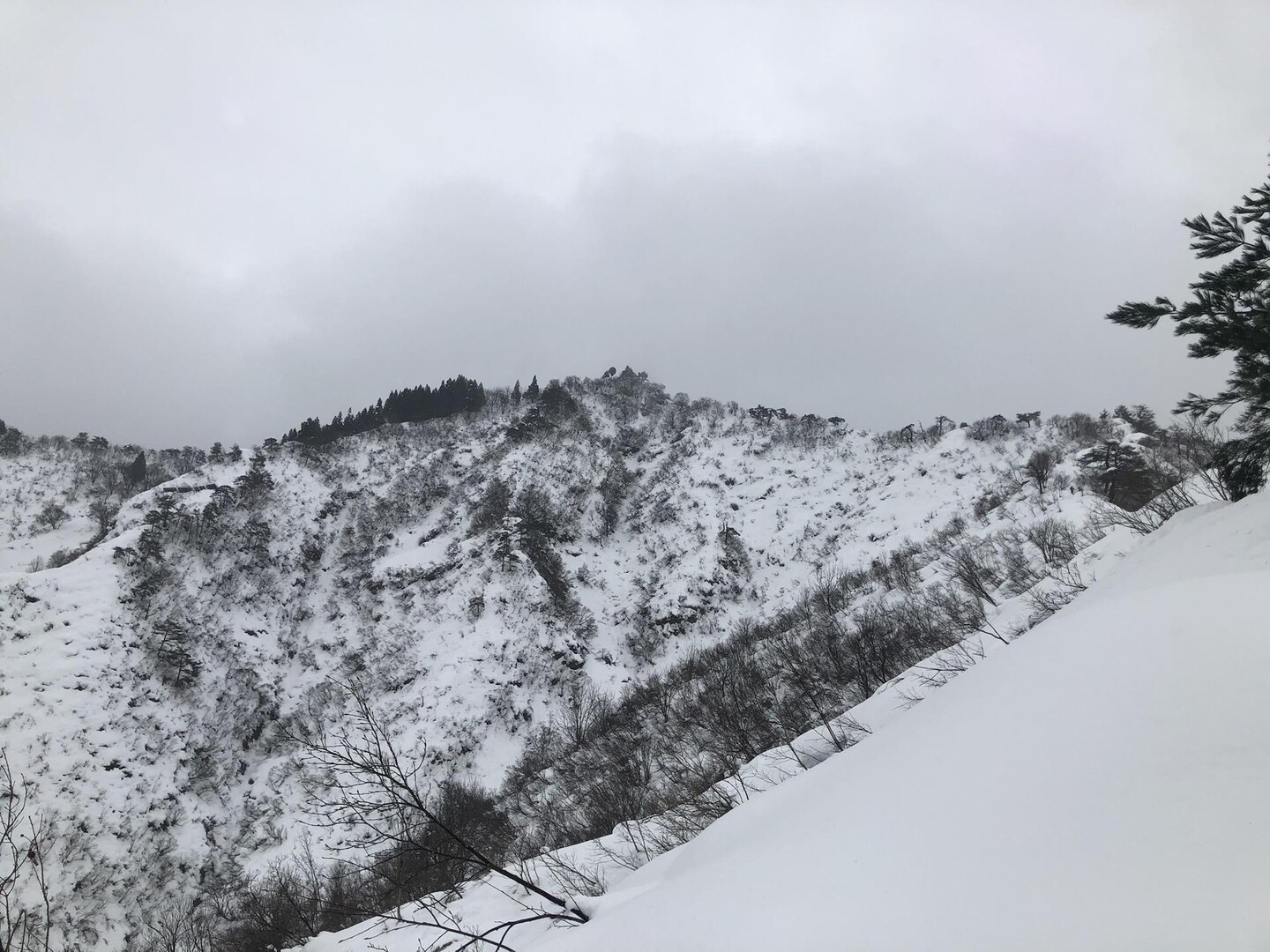 坂戸山 / daidaiさんの坂戸山の活動データ | YAMAP / ヤマップ