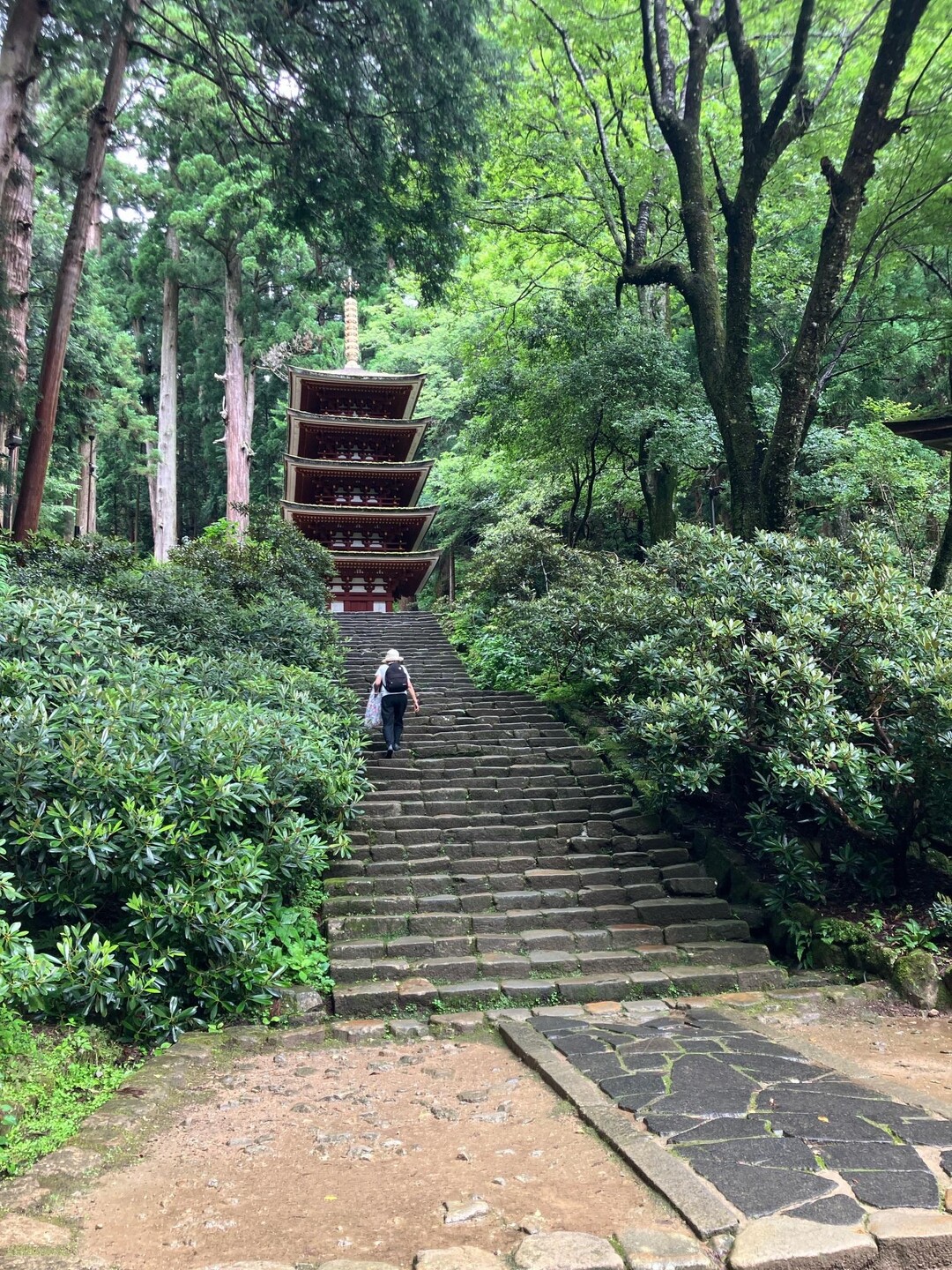 榛原駅から室生古道→東海自然歩道33km 仏隆寺→室生寺→大野寺→榛原駅 / MJさんの額井岳の活動データ | YAMAP / ヤマップ