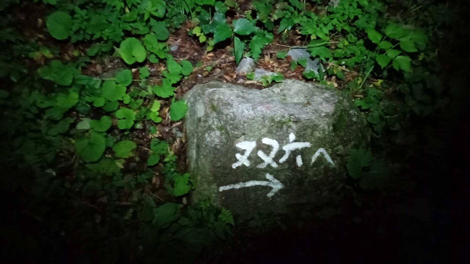 リベンジマッチ de 双六へ[3rd] / URUさんの槍ヶ岳・穂高岳・上高地の活動データ | YAMAP / ヤマップ