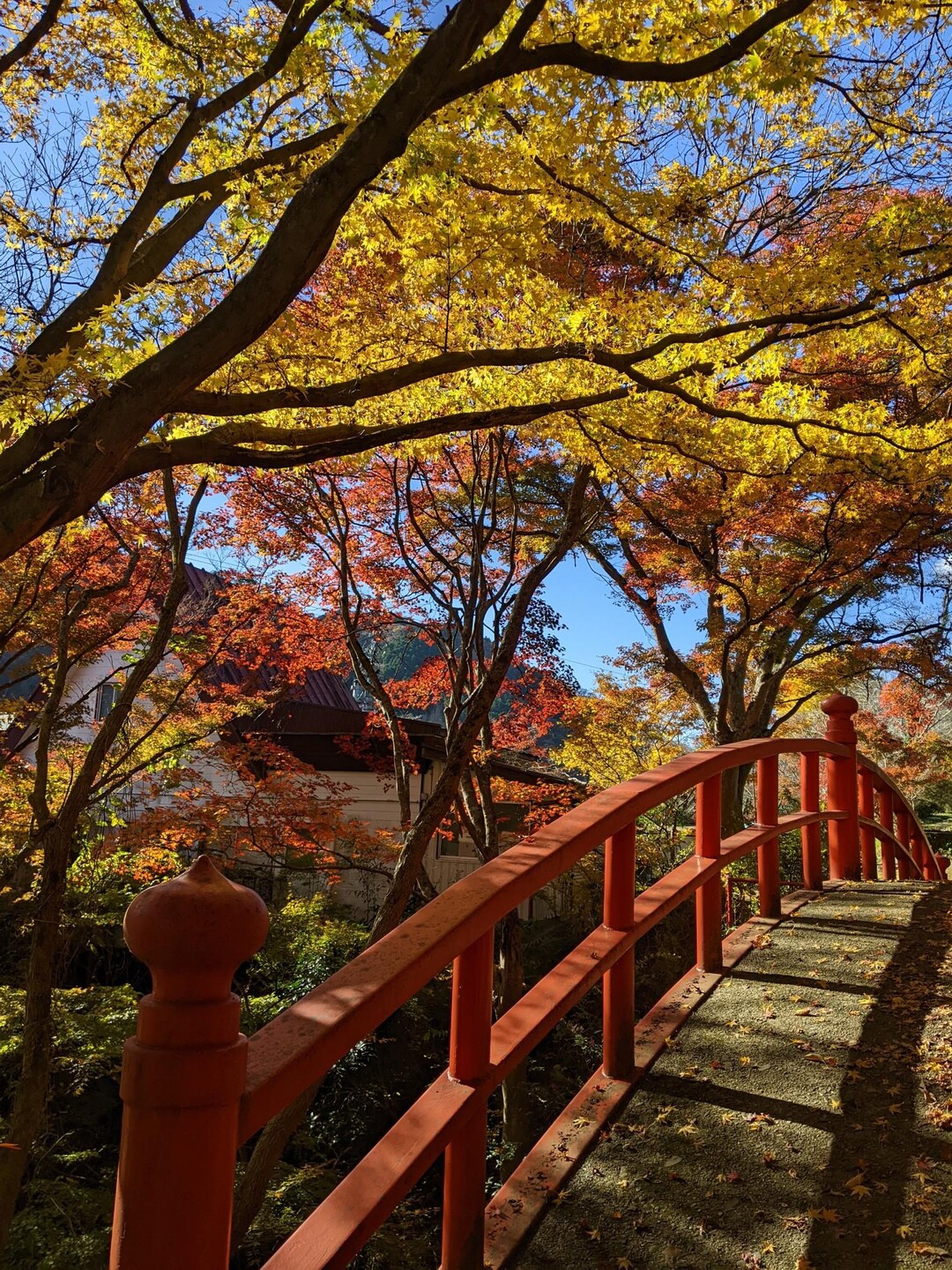 天道塚・矢祭山・檜山 / けむしさんの矢祭山・檜山の活動データ | YAMAP / ヤマップ