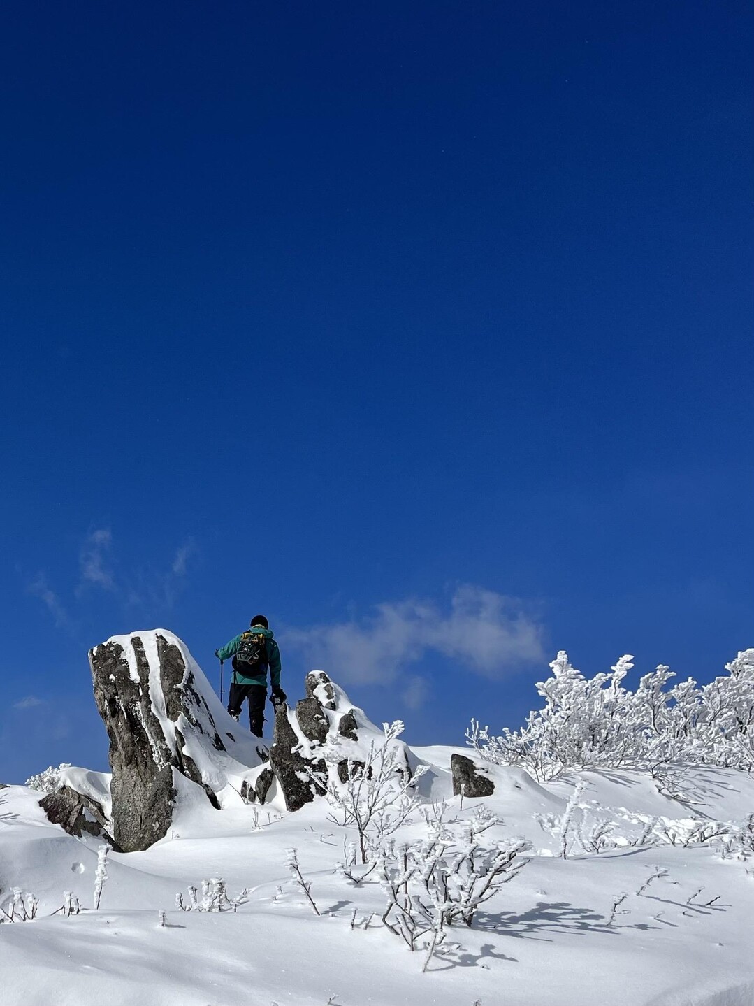 姫神山 / shanneiさんの姫神山の活動データ | YAMAP / ヤマップ