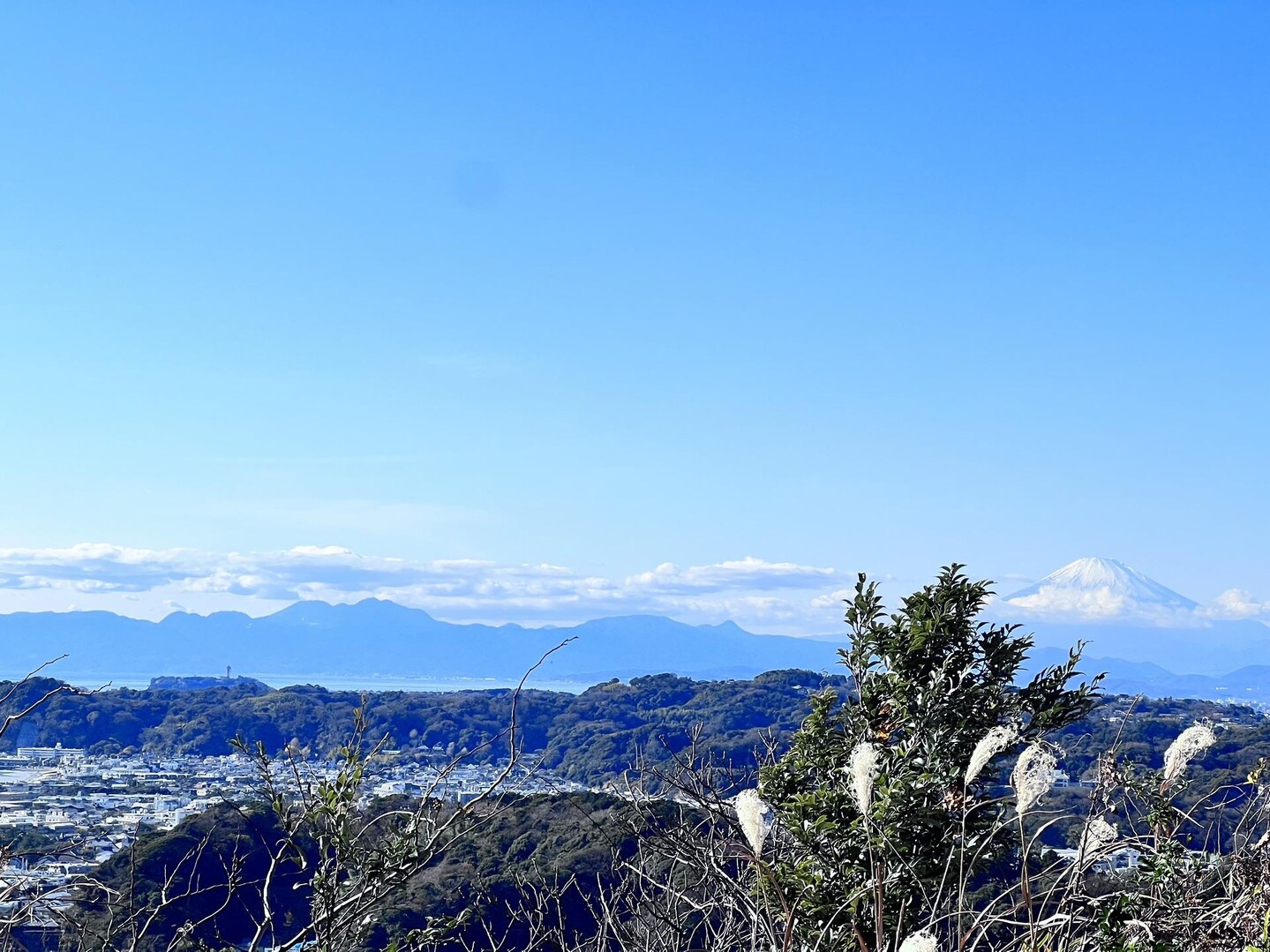 ハゲ山〜名越切通し〜衣張山-2023-12-18 / Mamiさんのウォーキングの活動データ | YAMAP / ヤマップ