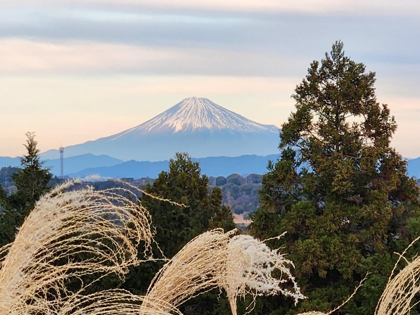 今日は雲っていましたが、富士山はハッキリ... / junjunさんのモーメント | YAMAP / ヤマップ