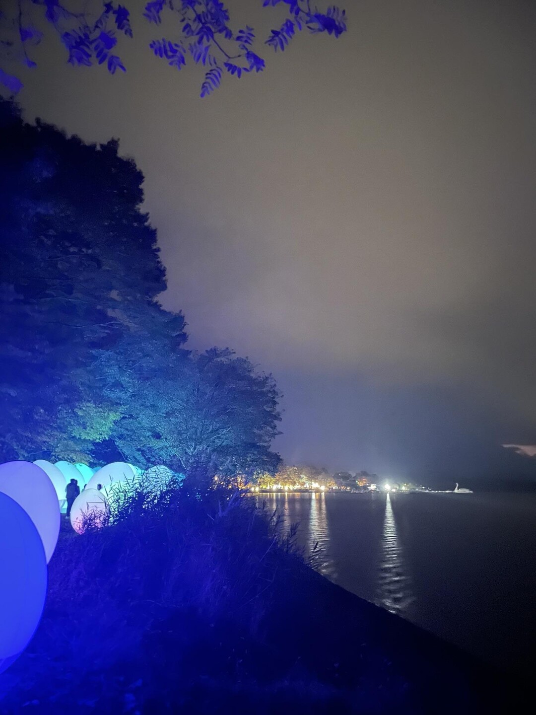 チームラボ山中湖Walk,Walk,Wa... / サトさんのモーメント | YAMAP / ヤマップ