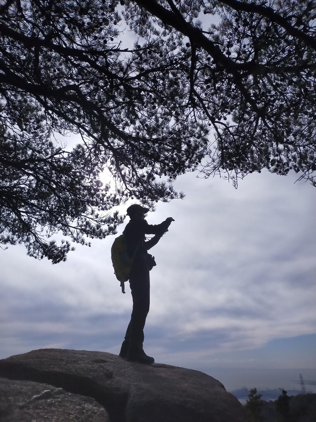 荒地山、万物相 / bunpakuさんの六甲山・長峰山・摩耶山の活動データ | YAMAP / ヤマップ