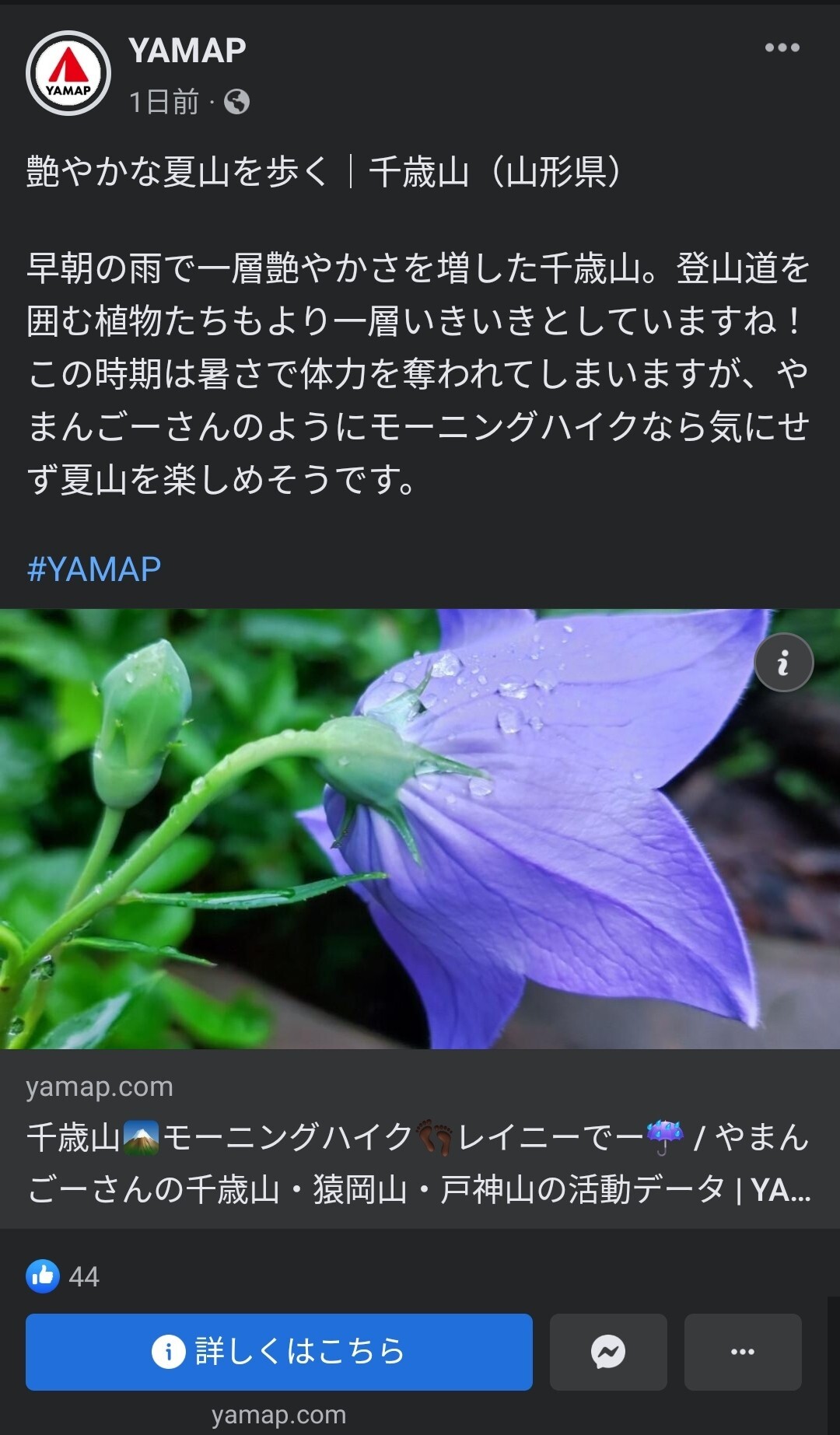 YAMAP公式で掲載頂きました🙋 れん... / やまんごーさんのモーメント | YAMAP / ヤマップ