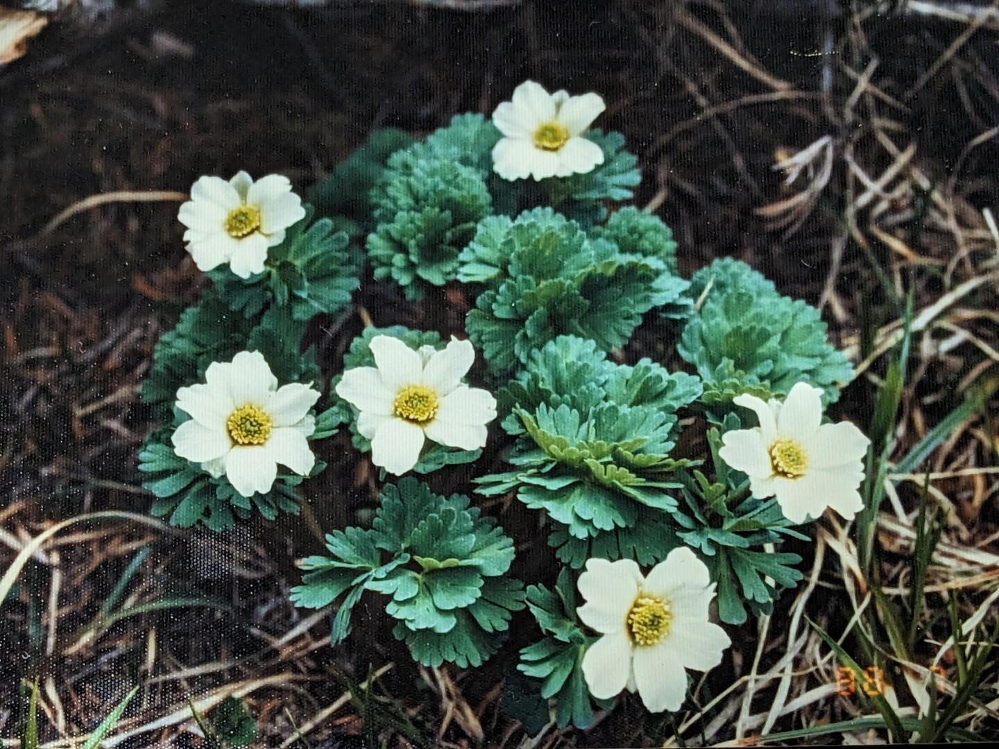 hitomiのページ | YAMAP / ヤマップ