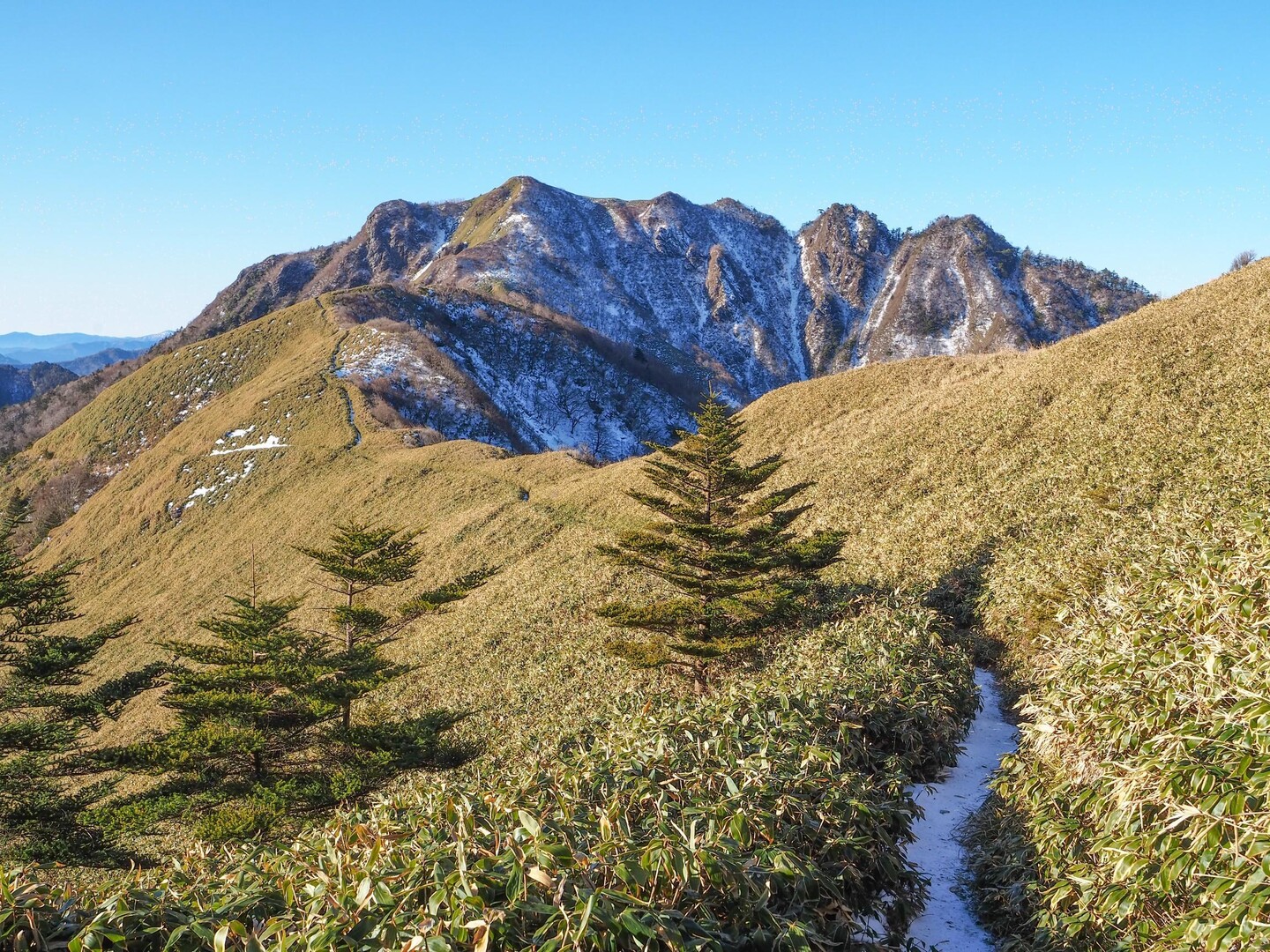 伊予富士・東黒森 - 20240114 / Tadaboxさんの瓶ヶ森・伊予富士の活動データ | YAMAP / ヤマップ