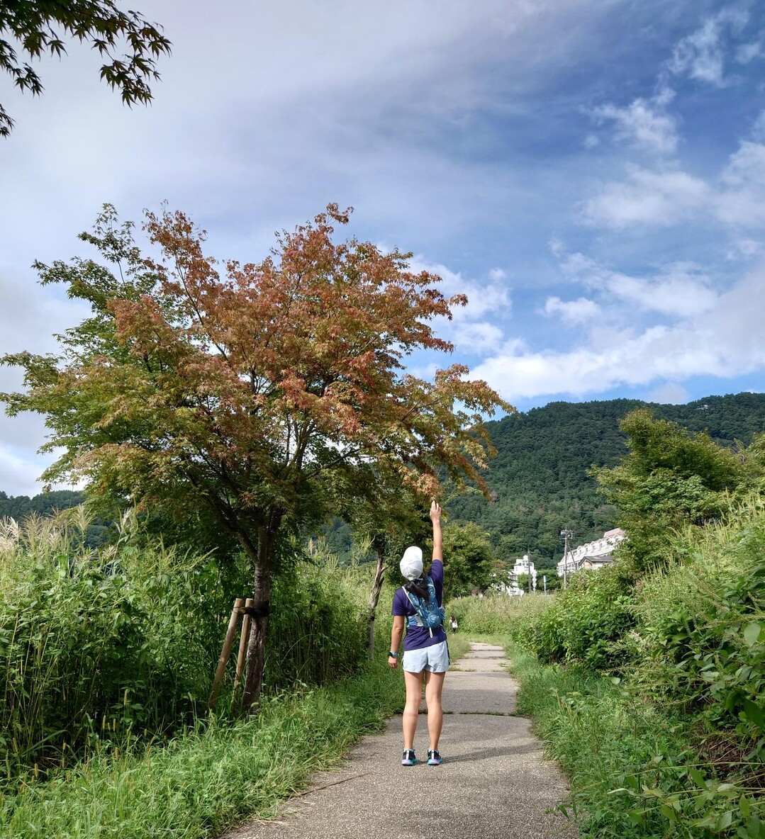 河口湖一周18kmリハビリウォーキング🎶🍁 / 千明さんのウォーキングの活動データ | YAMAP / ヤマップ