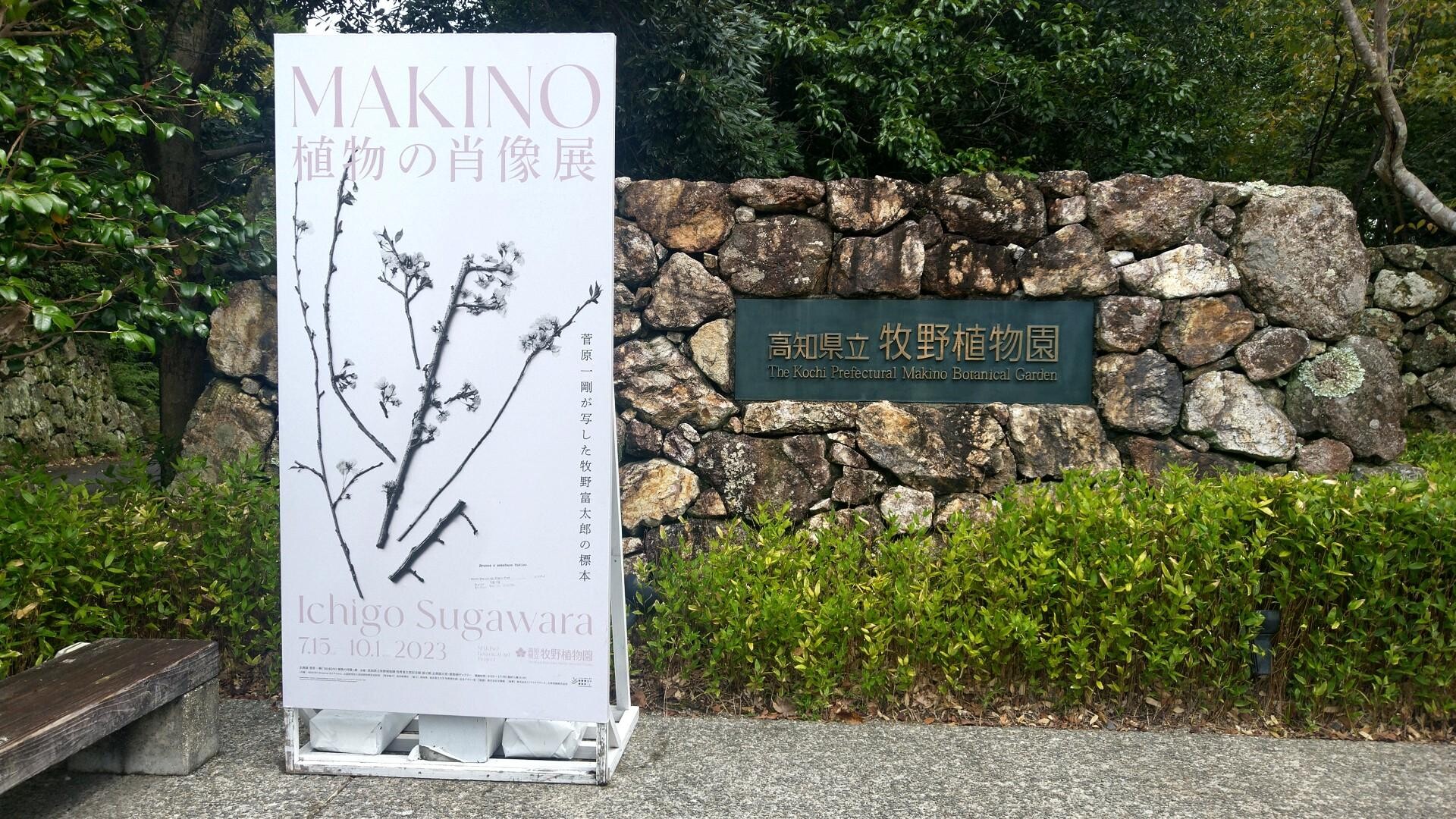 お久しぶりでございます。 仕事と自宅の古... / hiroko-s さんのモーメント | YAMAP / ヤマップ