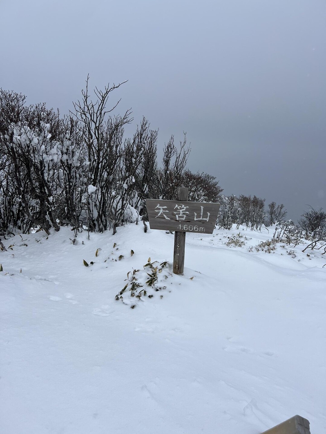 ️の矢筈山 / bibiさんの三方山の活動データ | YAMAP / ヤマップ