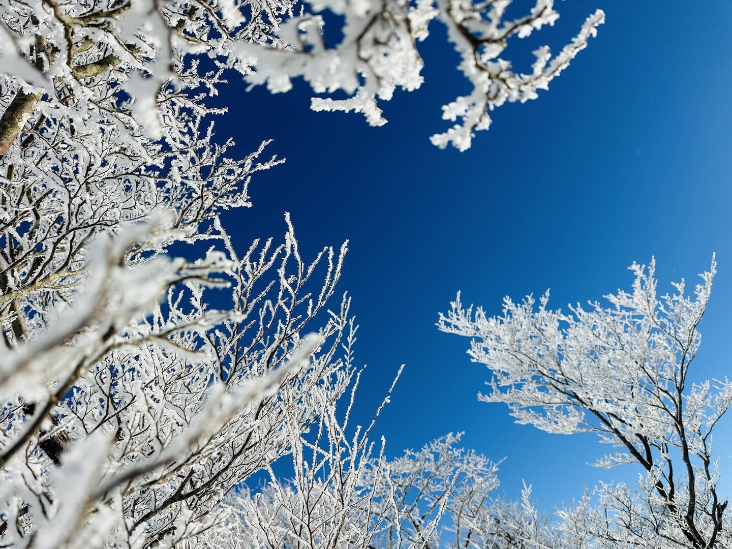 Wow‼️ Snow fantasy ... / 🔺MASAPさんのモーメント | YAMAP / ヤマップ