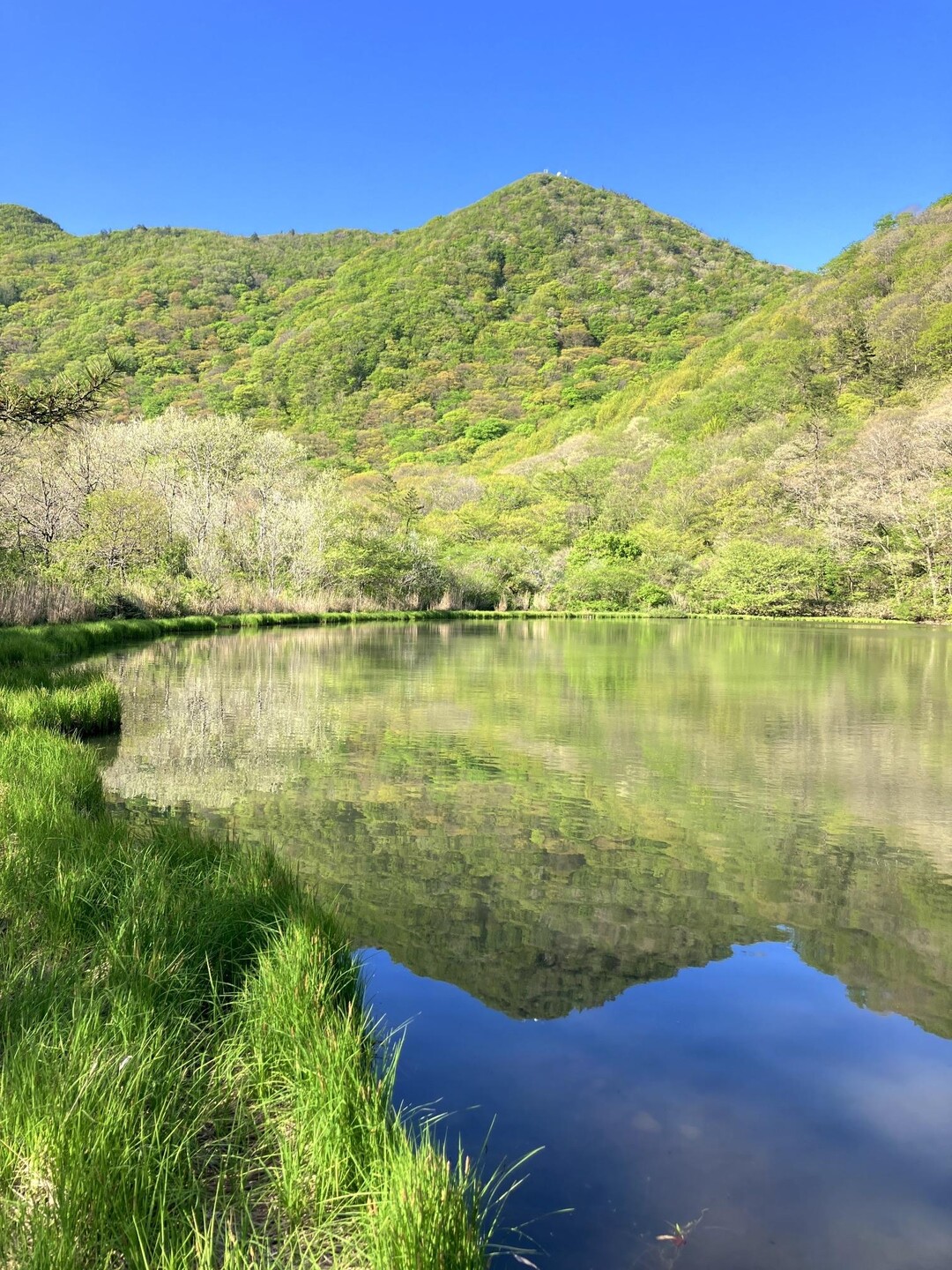 大平山・女三瓶山 / iwaさんの三瓶山・大平山の活動データ | YAMAP / ヤマップ