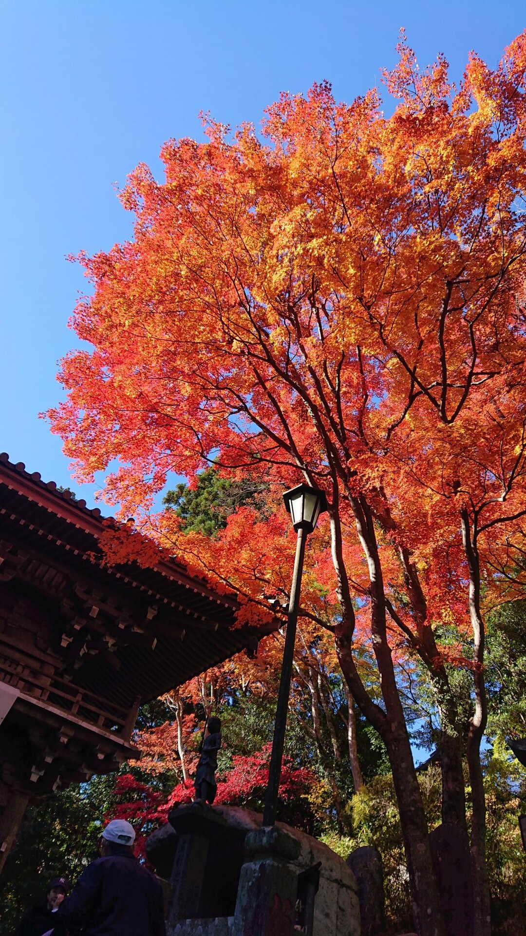 高尾山4往復 / aoさんの高尾山・陣馬山・景信山の活動データ | YAMAP / ヤマップ