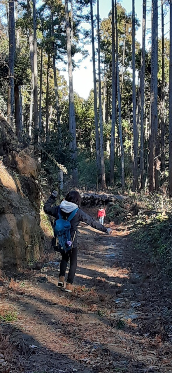 maiのページ | YAMAP / ヤマップ