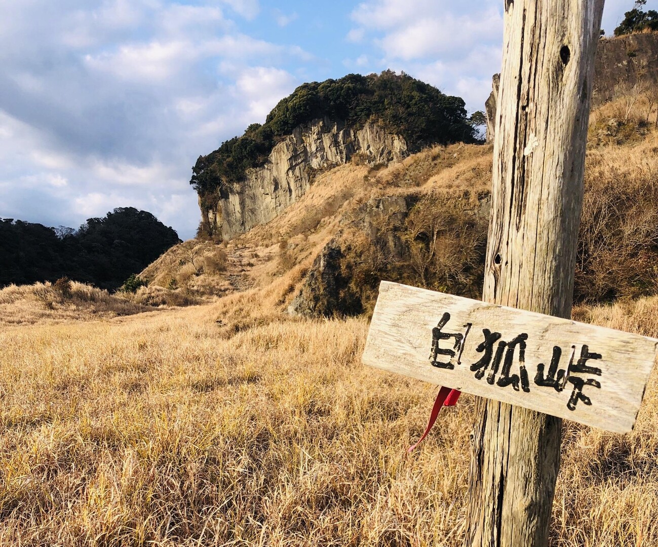 房総 大晦日の小鋸山 / tac_aさんの鋸山の活動データ | YAMAP / ヤマップ