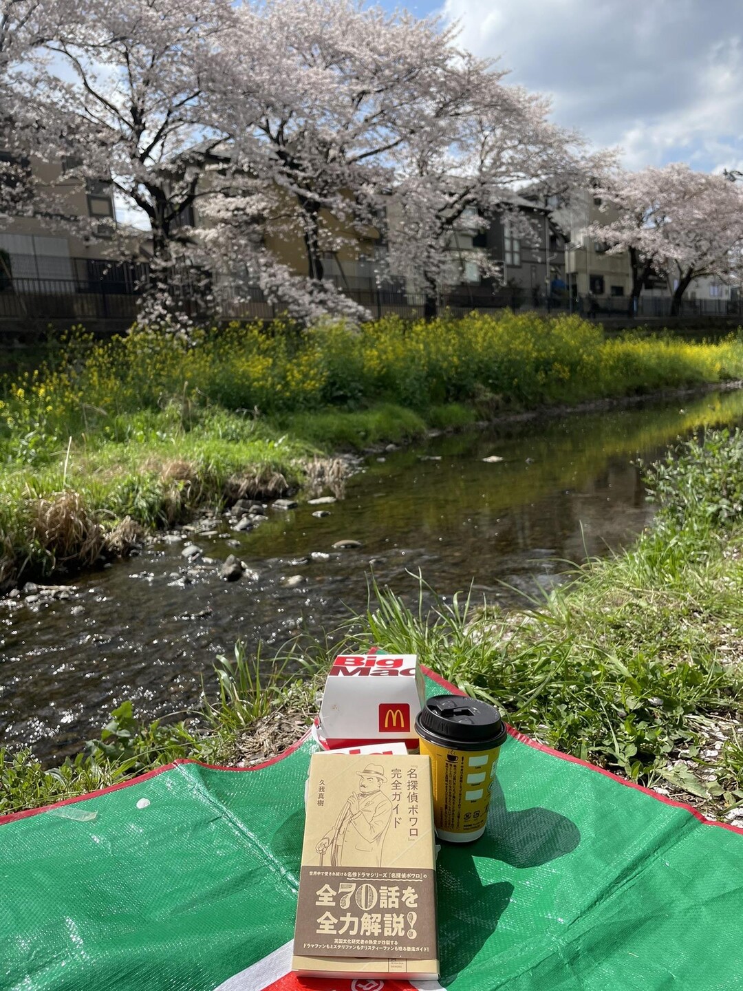 桜 桜 菜の花 満開 / Ushi924さんのモーメント | YAMAP / ヤマップ