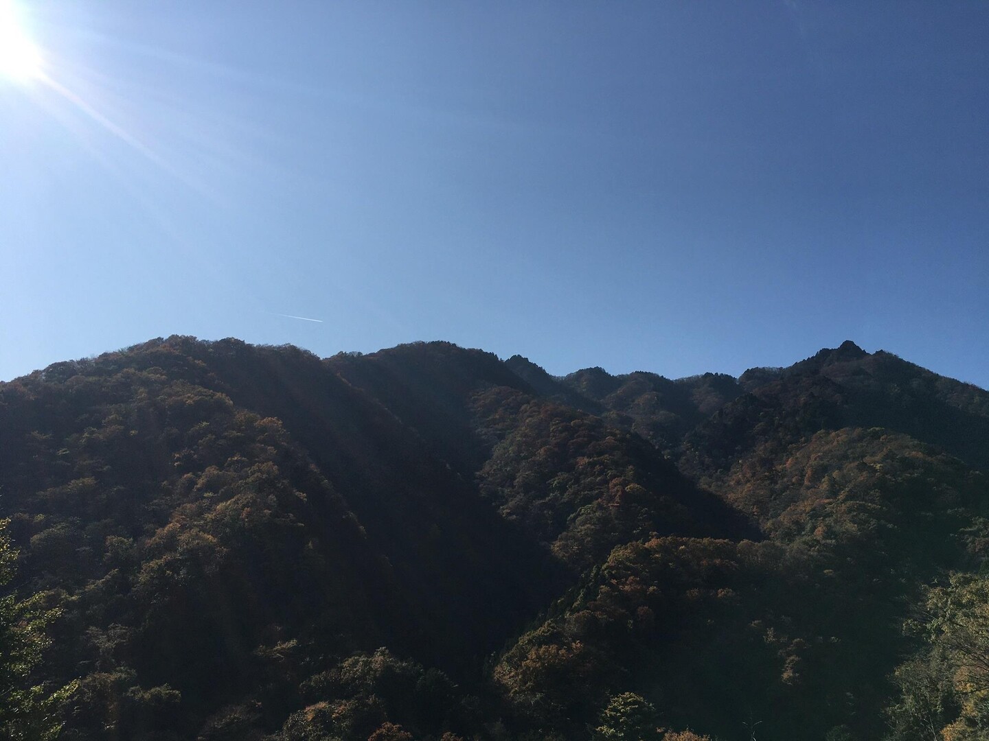 両神山の景色 活動日記 https:/... / やまお沢さんのモーメント | YAMAP / ヤマップ