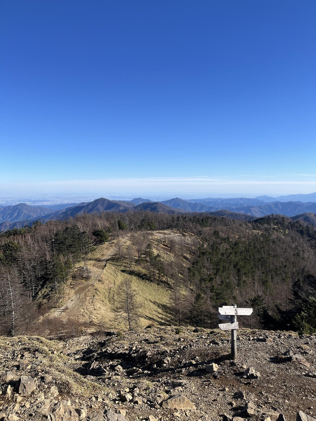三峰神社・雲取山・七ツ石山 / so!yo!さんの雲取山・鷹ノ巣山・七ツ石山の活動データ | YAMAP / ヤマップ