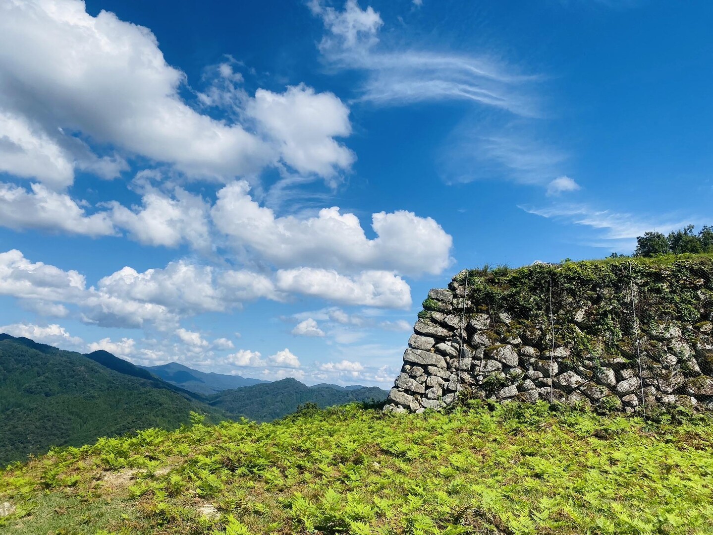 有子山 / maunaさんのウォーキングの活動データ | YAMAP / ヤマップ