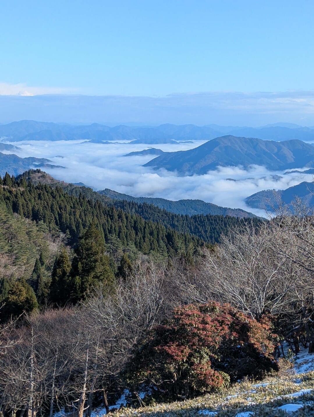 段ヶ峰 / Rinさんの段ヶ峰・笠杉山・千町ヶ峰の活動データ | YAMAP / ヤマップ