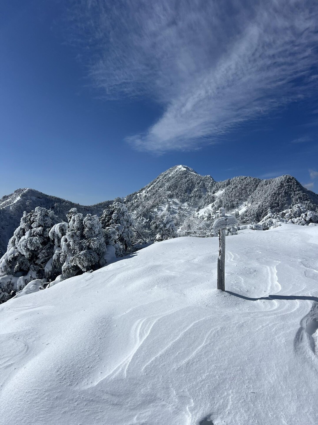 小丸山・赤薙山・一里ヶ曽根独標 / SAKさんの女峰山・赤薙山・大真名子山の活動データ | YAMAP / ヤマップ