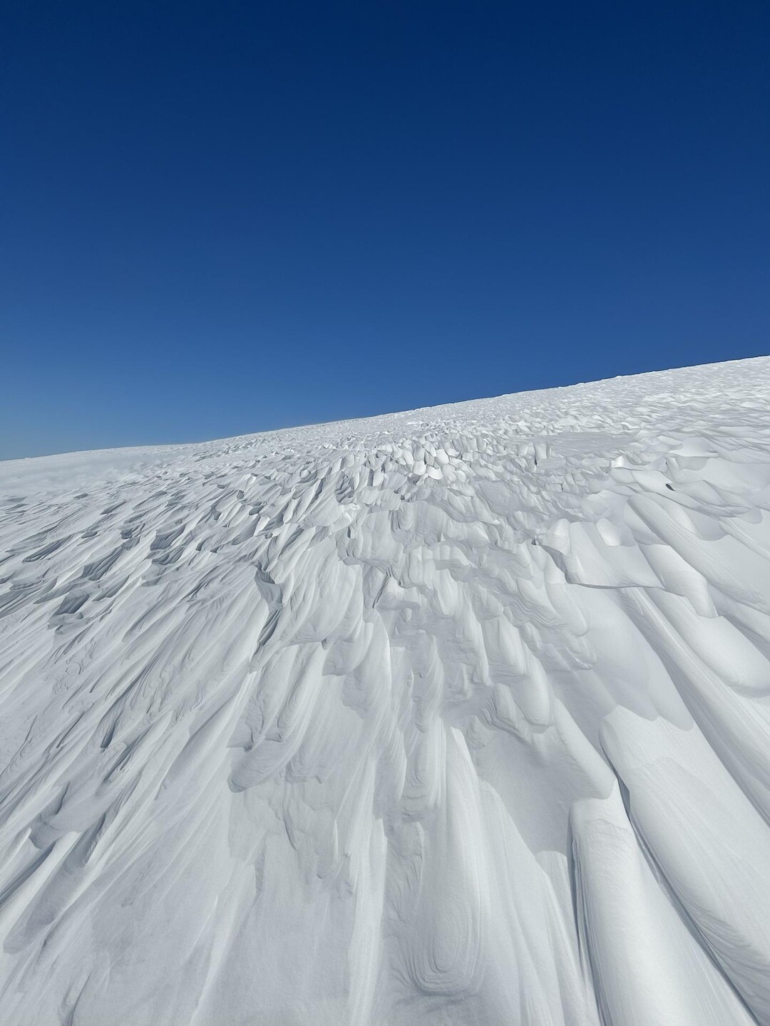 手の負傷から1ヶ月、やっと復活し、誰もい... / Takitaro Jr.さんのモーメント | YAMAP / ヤマップ