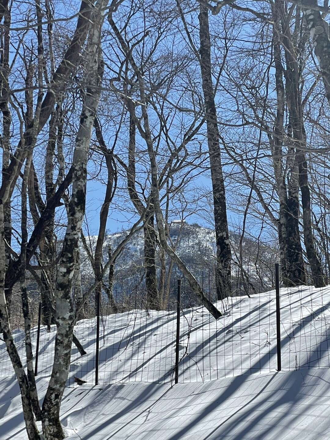 蛭ヶ岳2km手前で断念…。 / チェインギャングさんの塔ノ岳・丹沢山・蛭ヶ岳の活動データ | YAMAP / ヤマップ