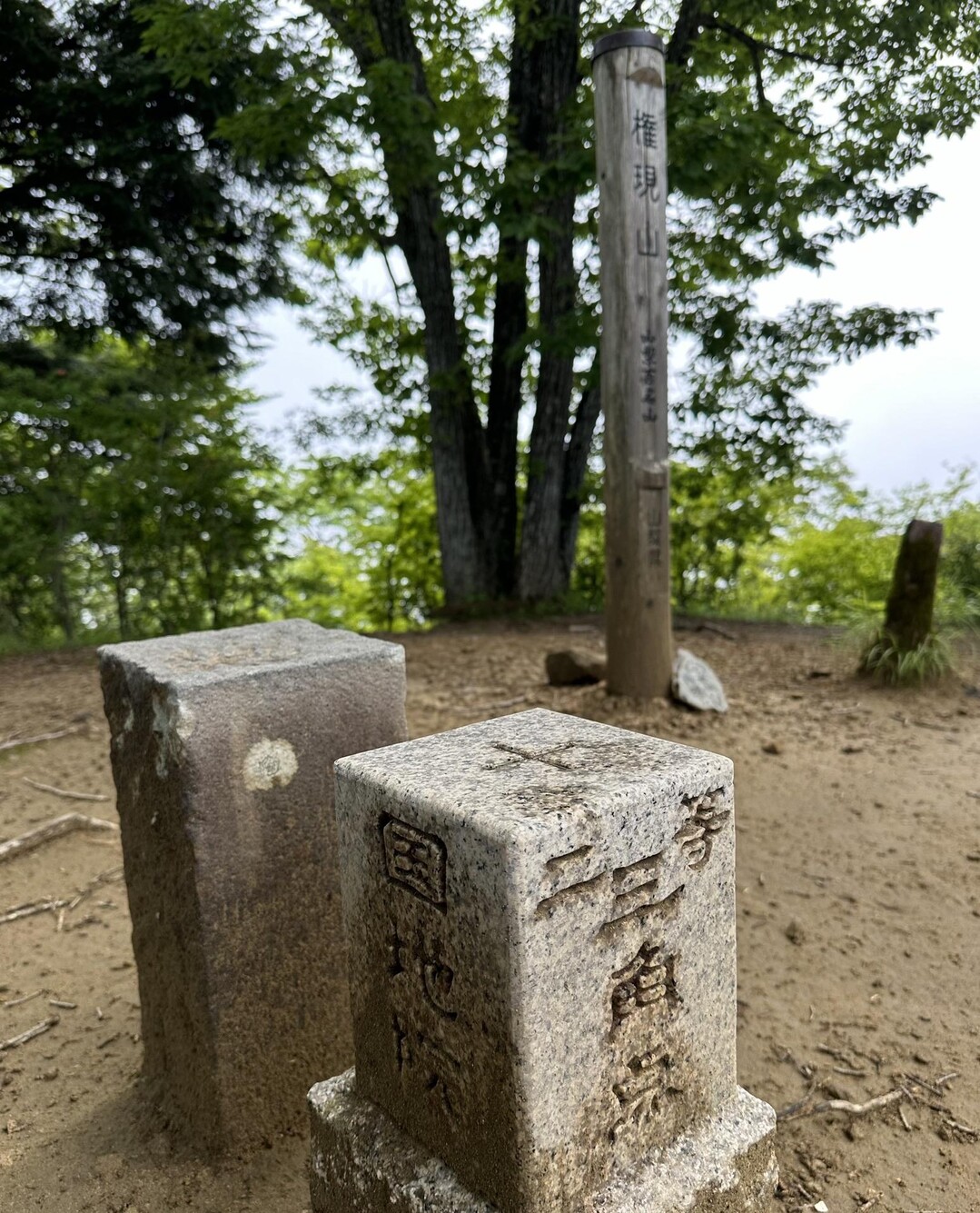 権現山（山梨百名山） / nakaekoさんの権現山・奈良倉山の活動データ | YAMAP / ヤマップ