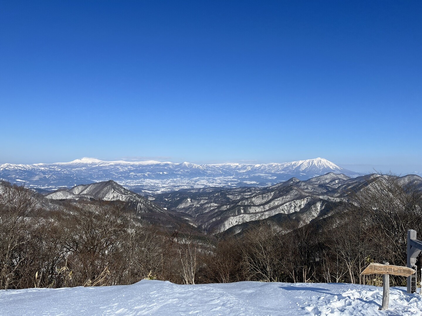 東根山・不動岳 / shu.f.oさんの南昌山・東根山・箱ヶ森の活動データ | YAMAP / ヤマップ