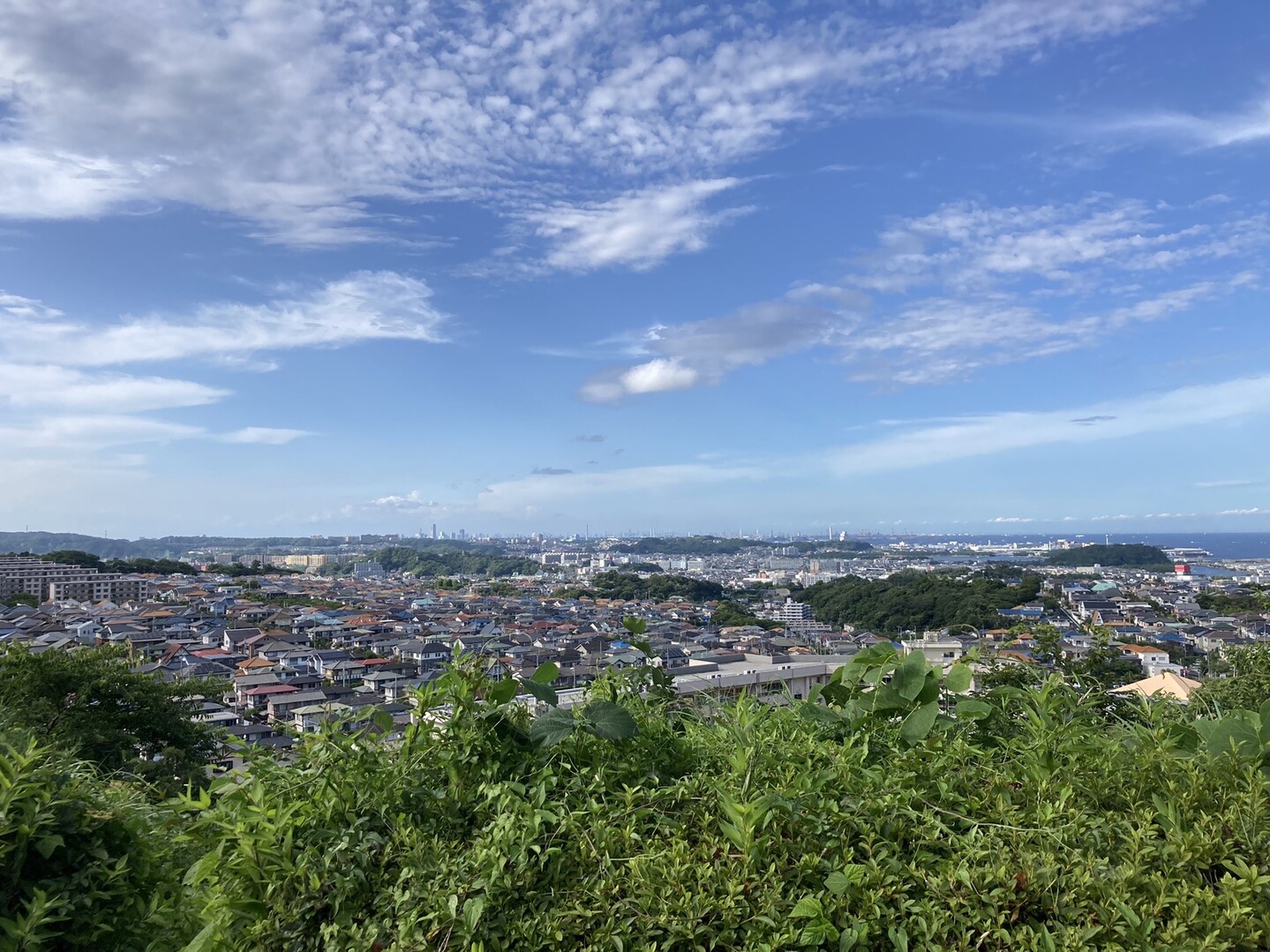 岩トレで鷹取山に行ってきました。 新しい... / Aokatiさんのモーメント | YAMAP / ヤマップ