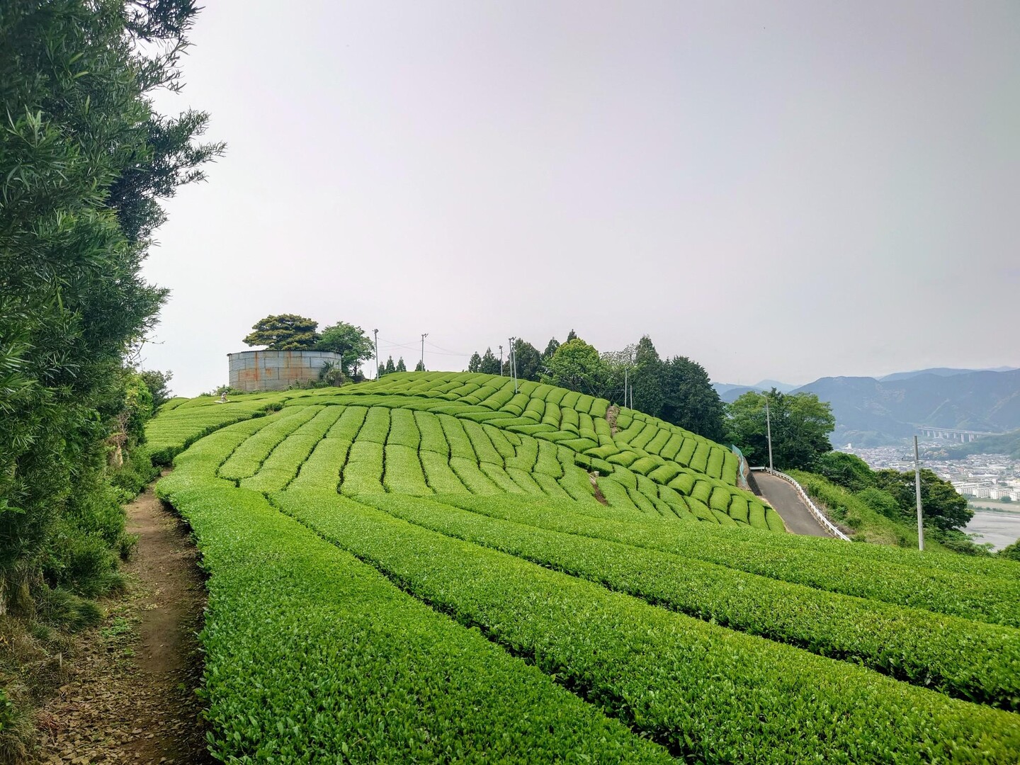 ロングトレ31🏃「AR賤機 😁」 / フジ⛰さんの高山・欅立山・梶原山の活動データ | YAMAP / ヤマップ