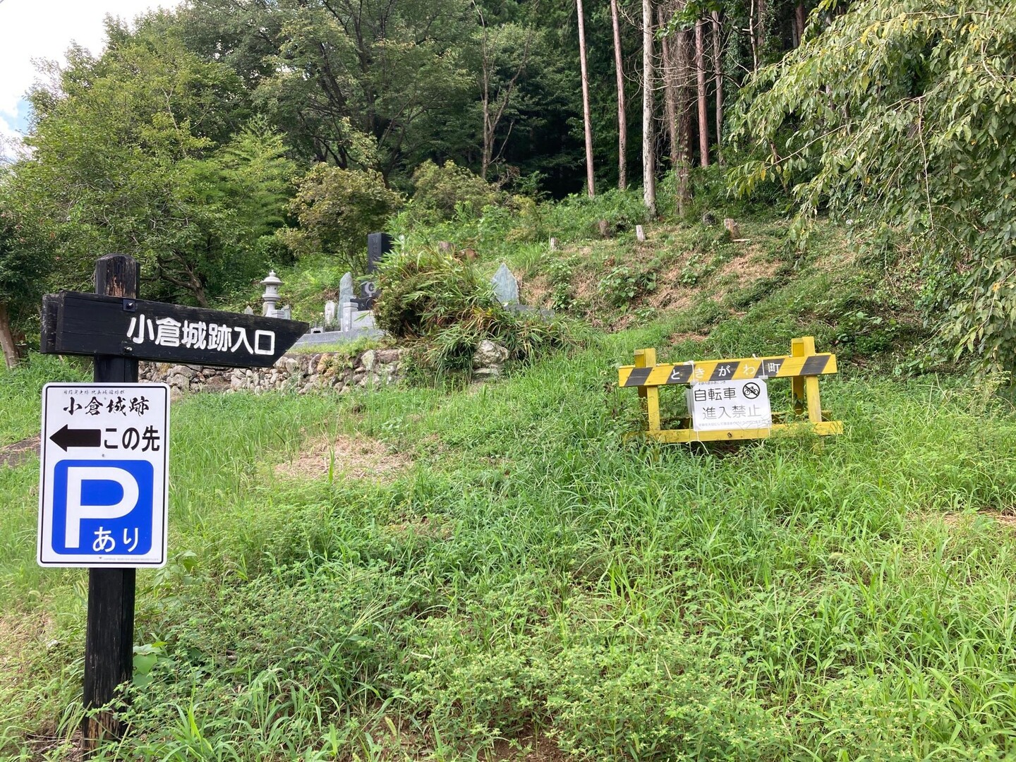 taoさんの投稿したフィールドメモ | YAMAP / ヤマップ