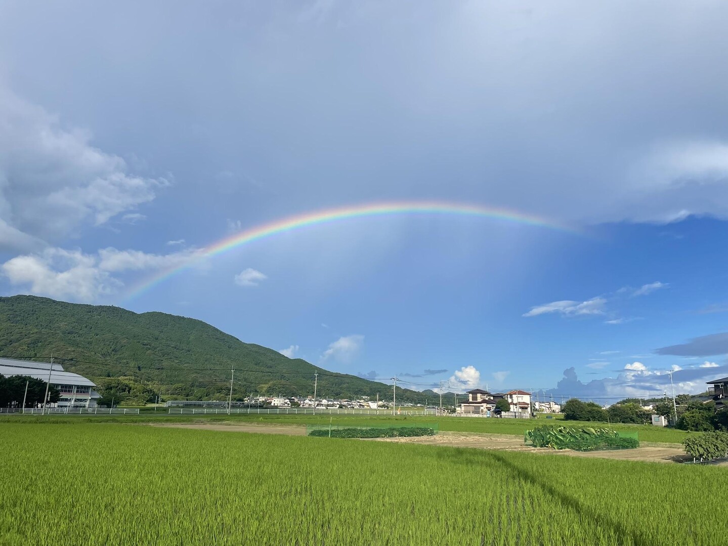 伊都国 TRAIL RUN 試走リベンジ版 / Ponta-chanさんのハイキングの活動データ | YAMAP / ヤマップ
