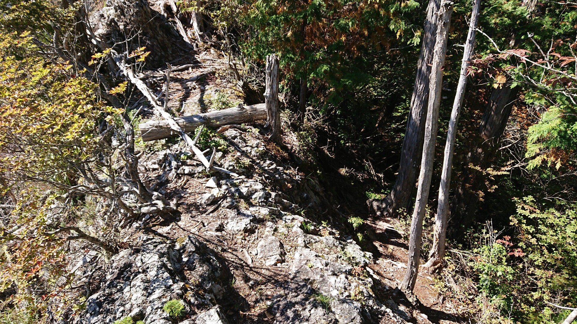 mt.8ninさんの投稿したフィールドメモ | YAMAP / ヤマップ