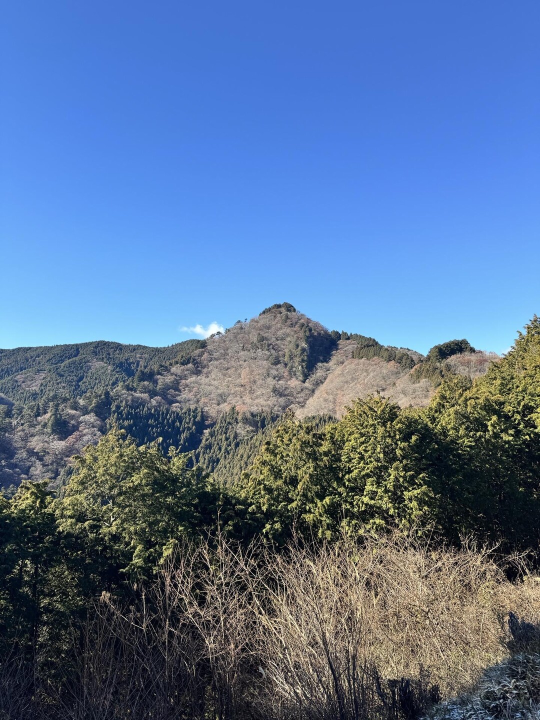 御岳駅～大塚山・御岳山・奥の院・日の出山～つるつる温泉 / rainmanさんの大岳山・御岳山・御前山の活動データ | YAMAP / ヤマップ