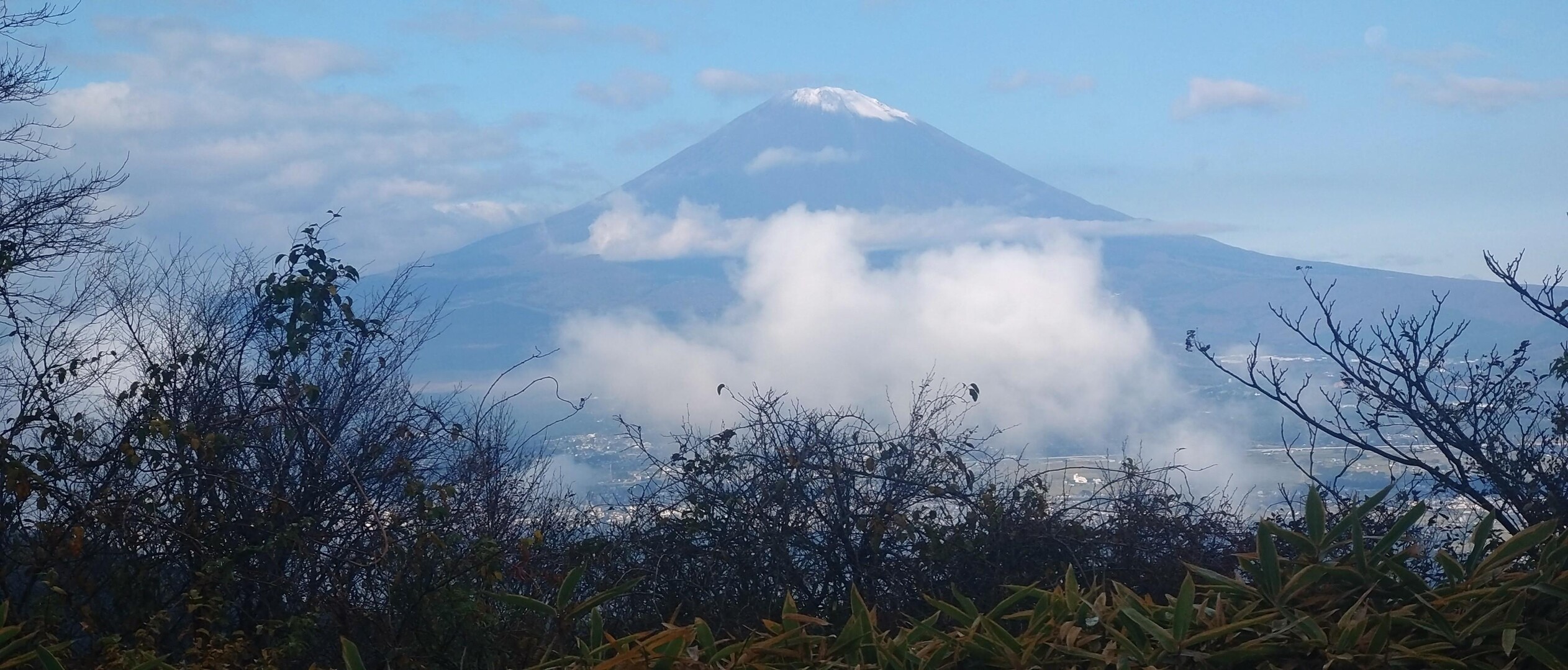 金時山の伝説〜 金時山・丸鉢山 / なさんさんの金時山・明神ヶ岳の活動データ | YAMAP / ヤマップ