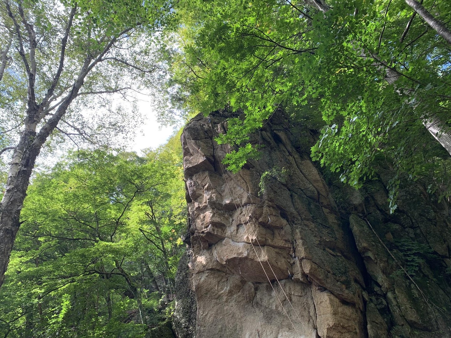 カサメリ沢 / hisaさんの瑞牆山・金峰山の活動データ | YAMAP / ヤマップ