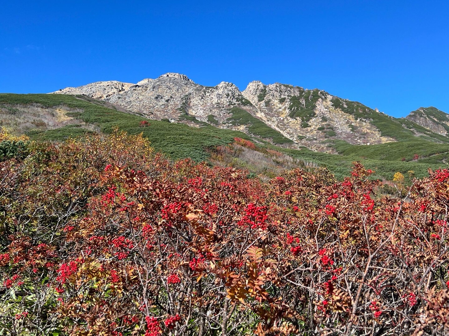 御嶽山（剣ヶ峰）・王滝頂上 / ta_tsu 373さんの御嶽山・継子岳・摩利支天山の活動データ | YAMAP / ヤマップ