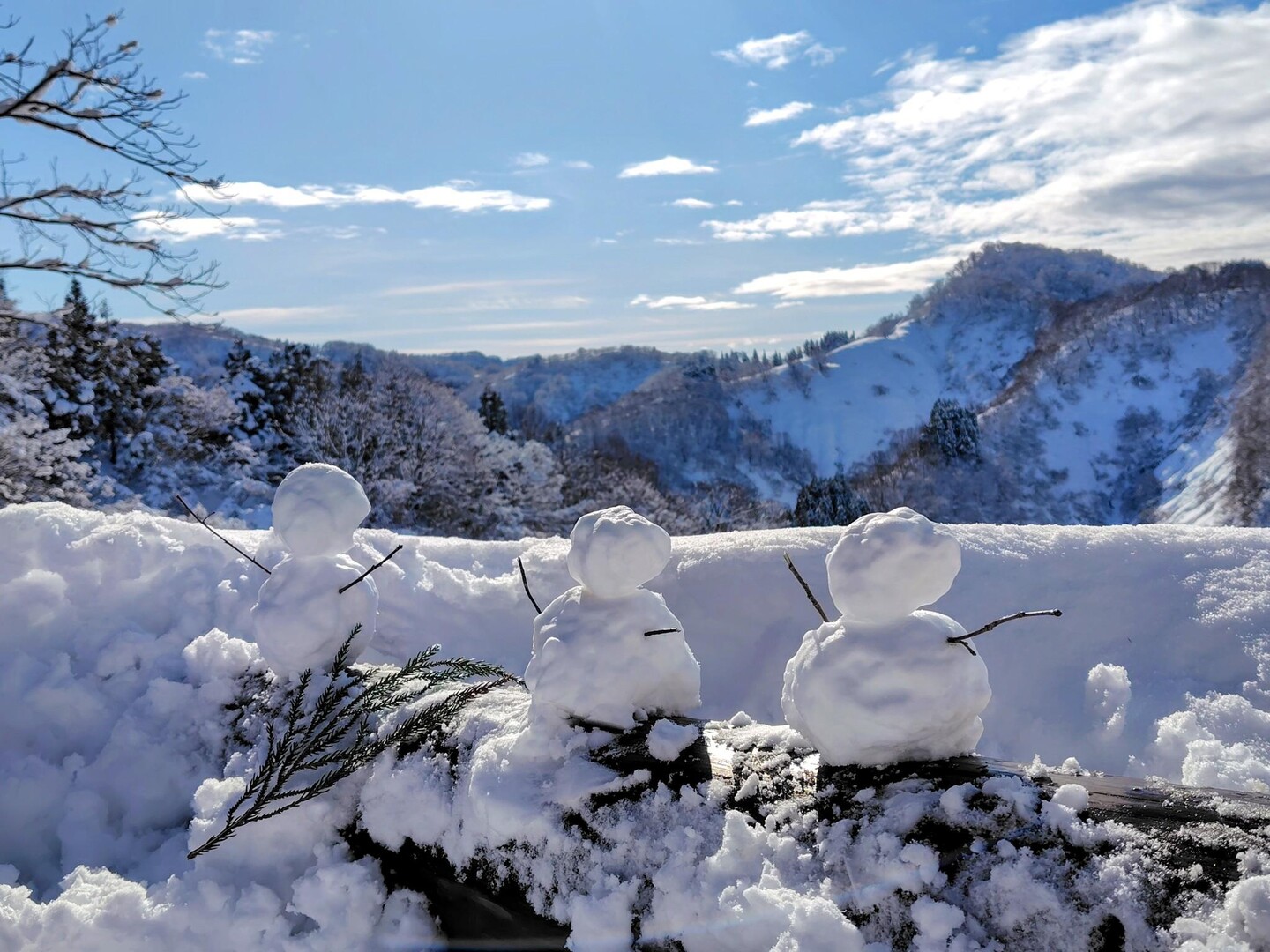 令和七年 初三ノ詣で / 鯉きち三平さんの長岡市（中央エリア）の活動日記 | YAMAP / ヤマップ
