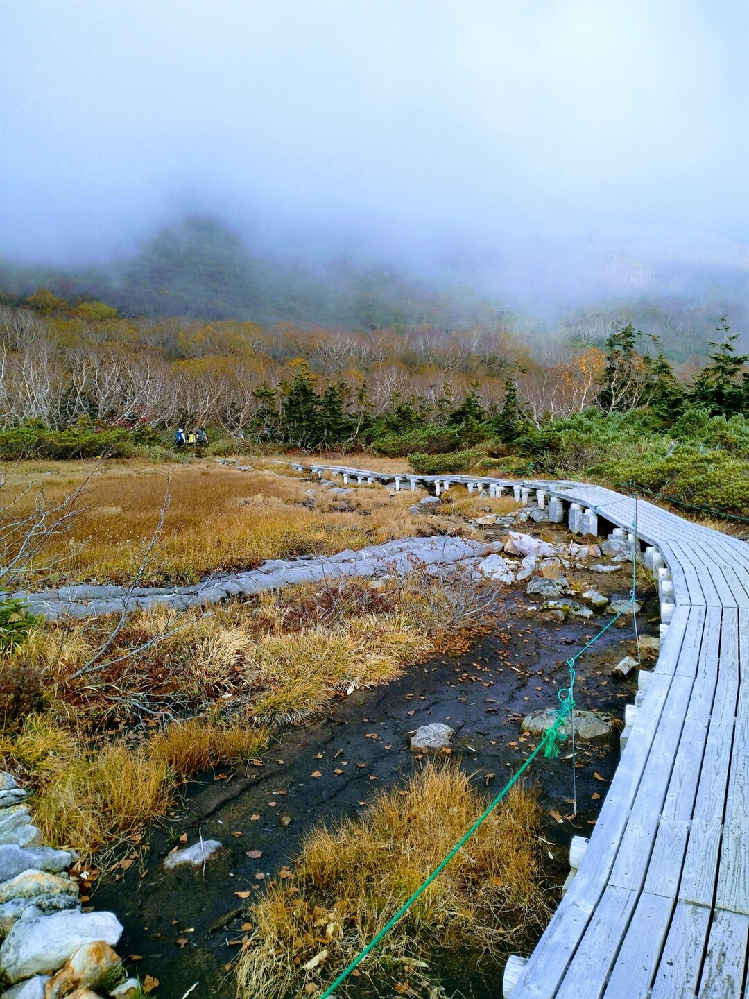 akkoさんの投稿したフィールドメモ | YAMAP / ヤマップ