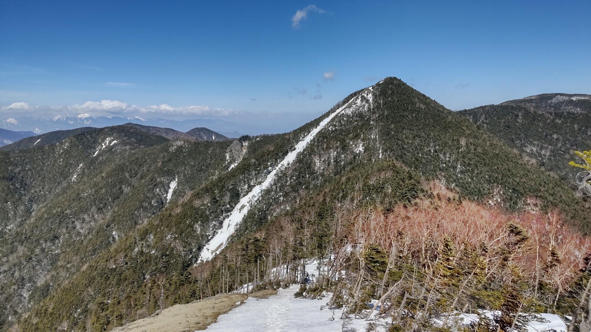 甲武信ヶ岳🏔️リトライ........成功😄 / SGさんの甲武信ヶ岳の活動データ | YAMAP / ヤマップ