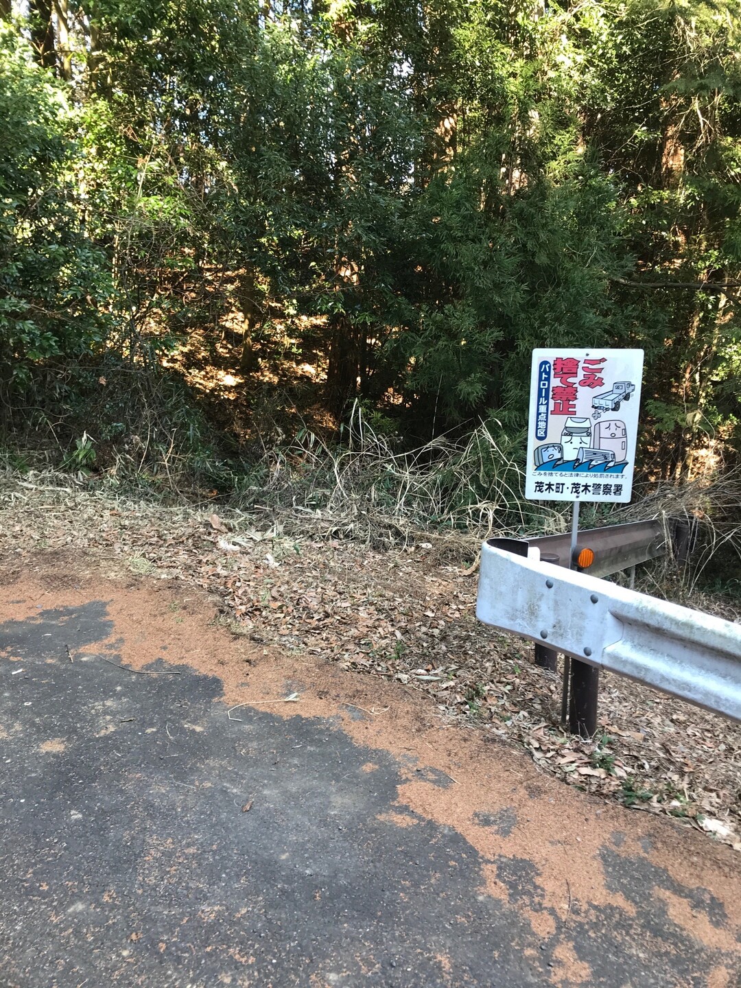 samさんの投稿したフィールドメモ | YAMAP / ヤマップ