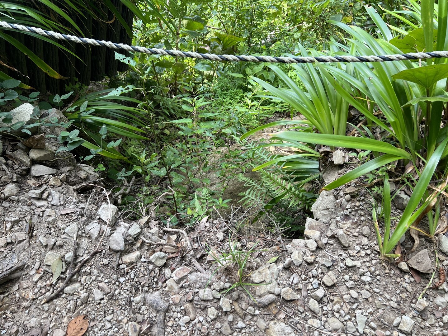 KENさんの投稿したフィールドメモ | YAMAP / ヤマップ