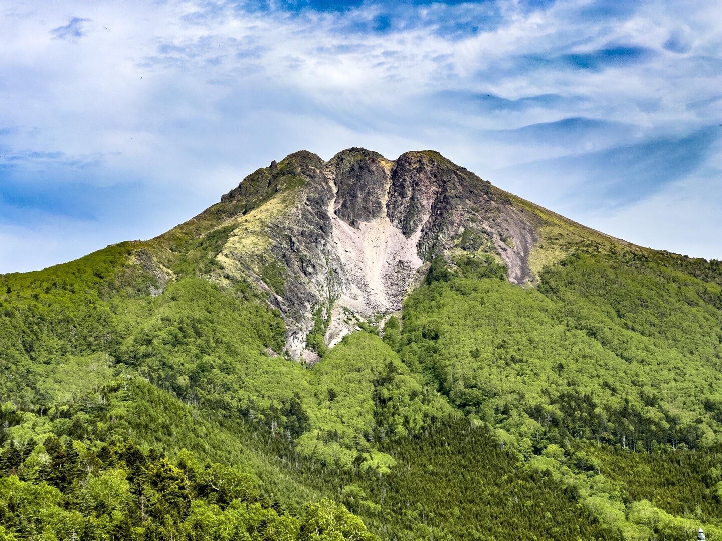 高山植物が見たくって / RED TOMさんの日光白根山・五色山・錫ヶ岳の活動データ | YAMAP / ヤマップ