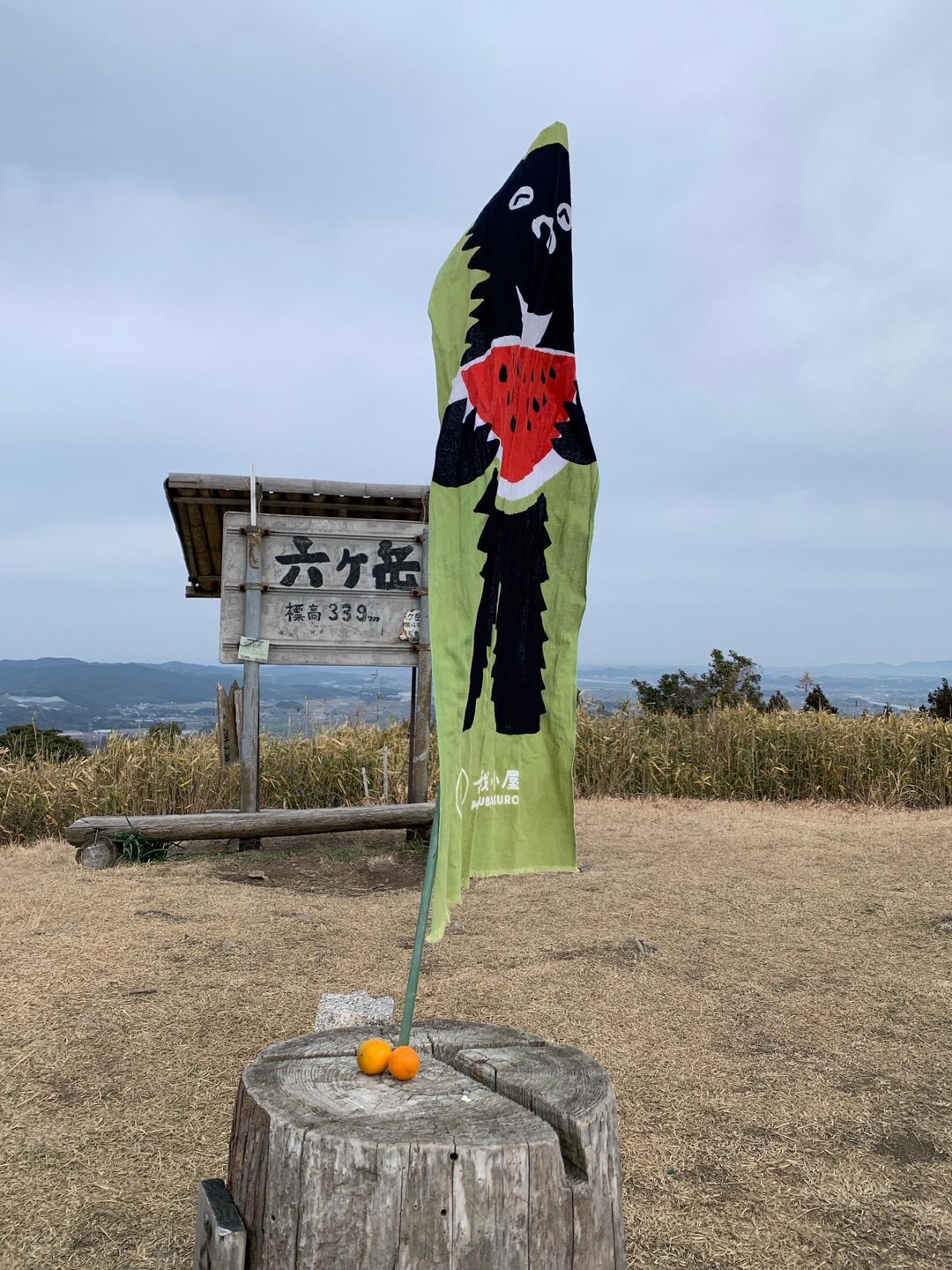 獲得標高100k🎊やっぱり六ヶ岳よね / 亀野あゆみさんの六ヶ岳の活動データ | YAMAP / ヤマップ