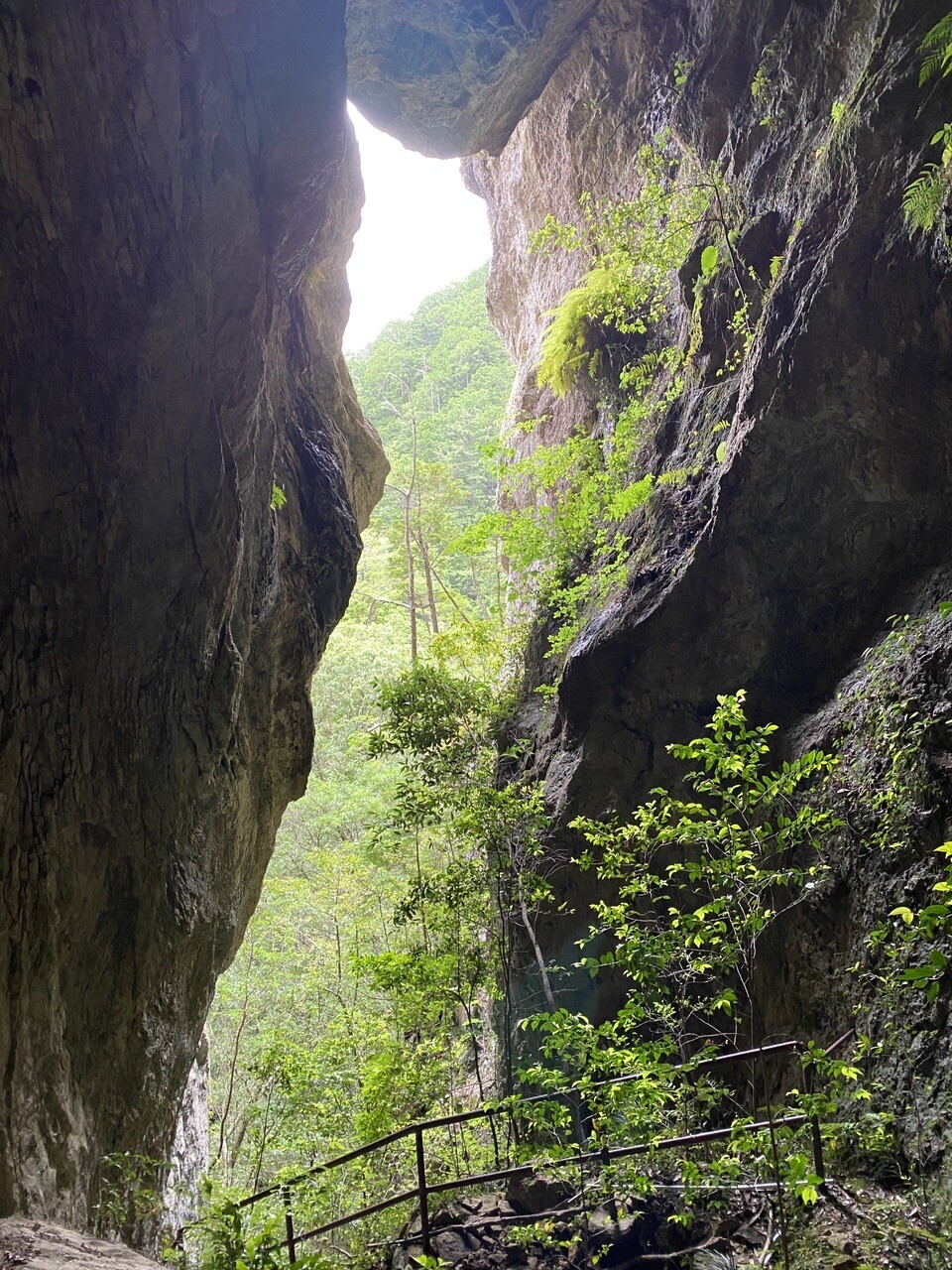明神山（三ツ瀬明神山）-2021-05-28 / KAZさんの明神山（三ツ瀬明神山）の活動データ | YAMAP / ヤマップ