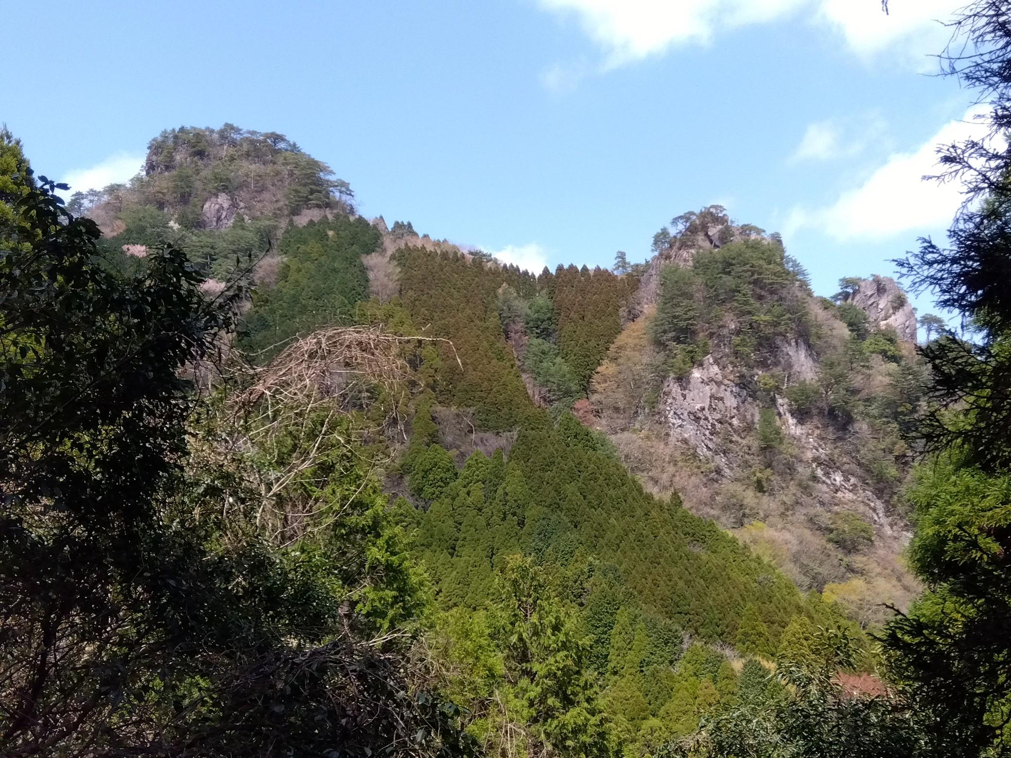 仙人岩・吉峯 (中津市山国町) / senbu2(センブツ)さんの中摩殿畑山・釣鐘山の活動データ | YAMAP / ヤマップ