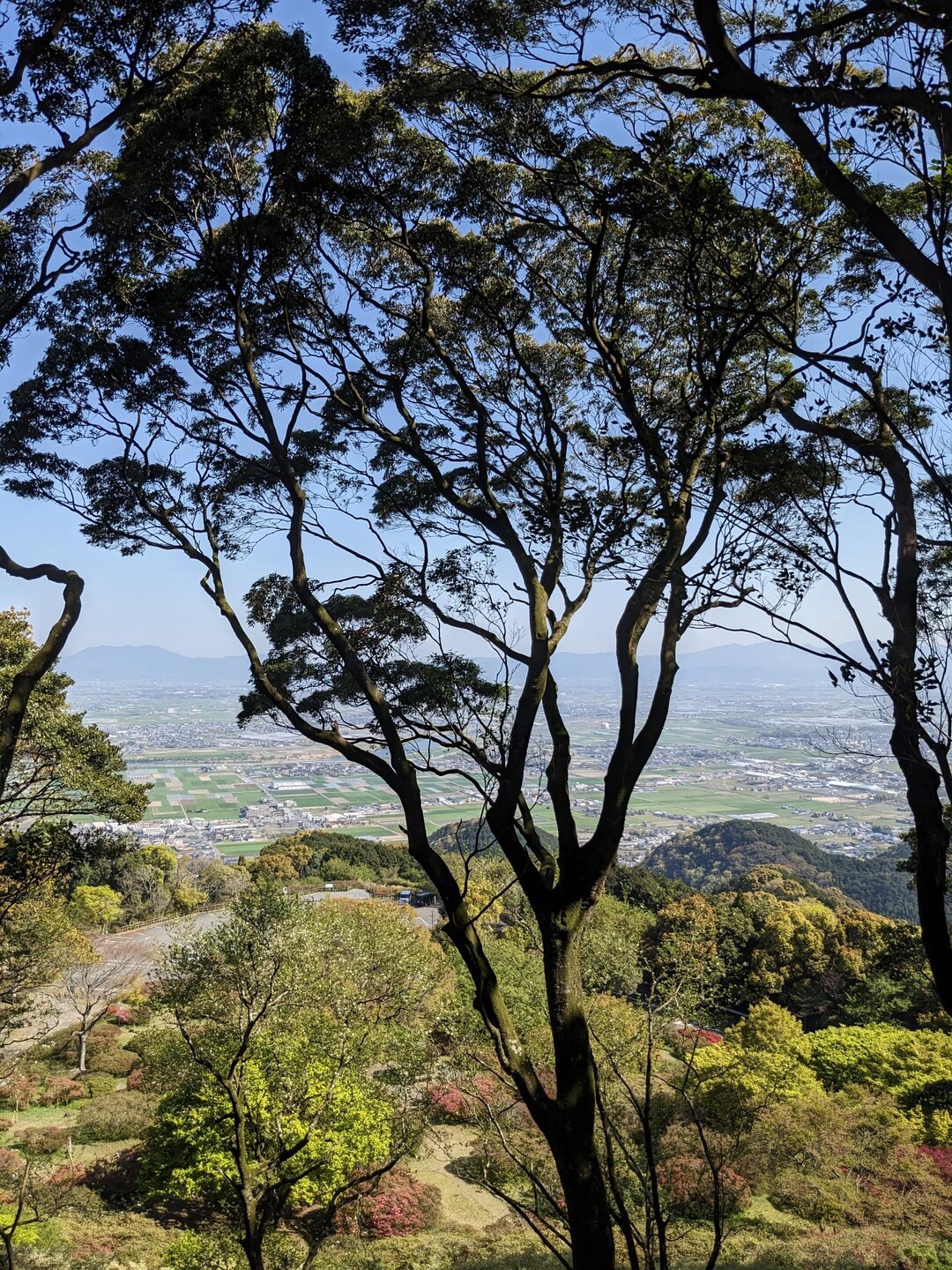 放光寺浄水場〜高良山山頂〜奥の院〜三角点159.4〜夫婦池 / mkhkさんの高良山・発心山・鷹取山の活動データ | YAMAP / ヤマップ